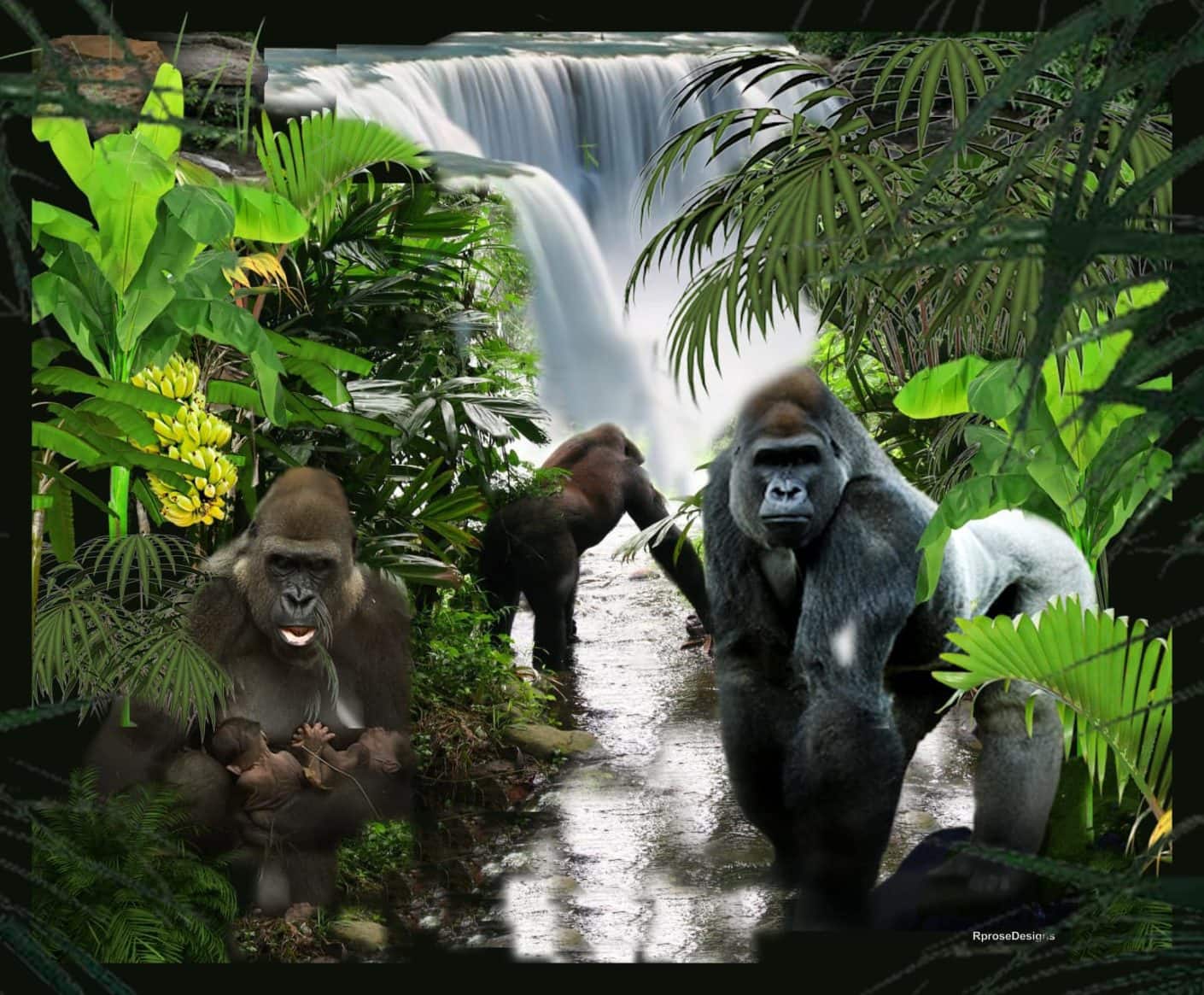 Summer Splash Contest Winners! - Corel Discovery Center