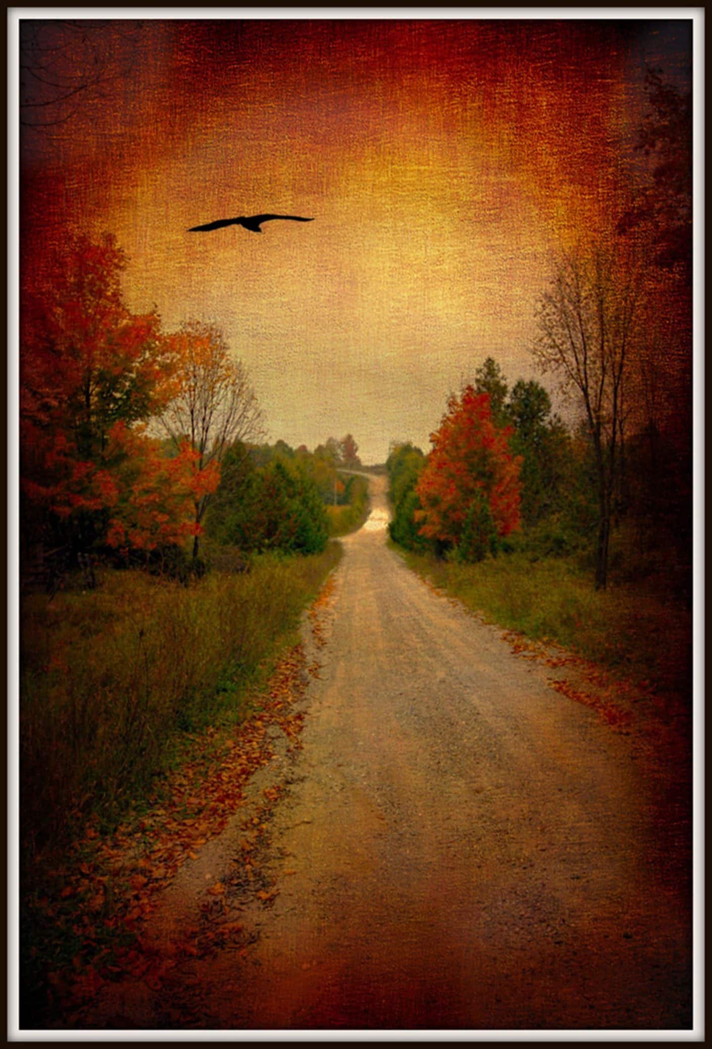 2020 Colors of Fall Contest Winners - Corel Discovery Center