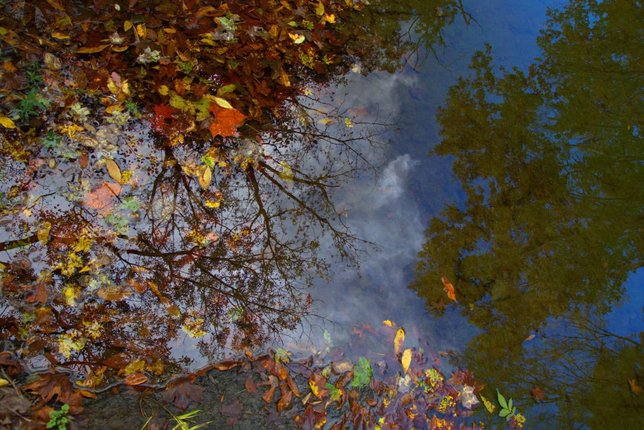 Perspectives Contest Winners! - Corel Discovery Center