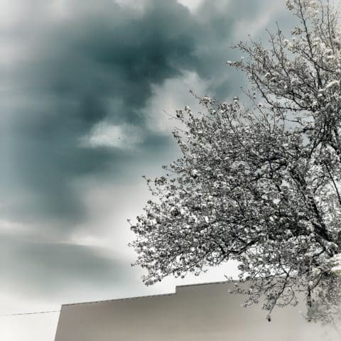 Extreme Weather Photo and Art Contest - Corel Discovery Center