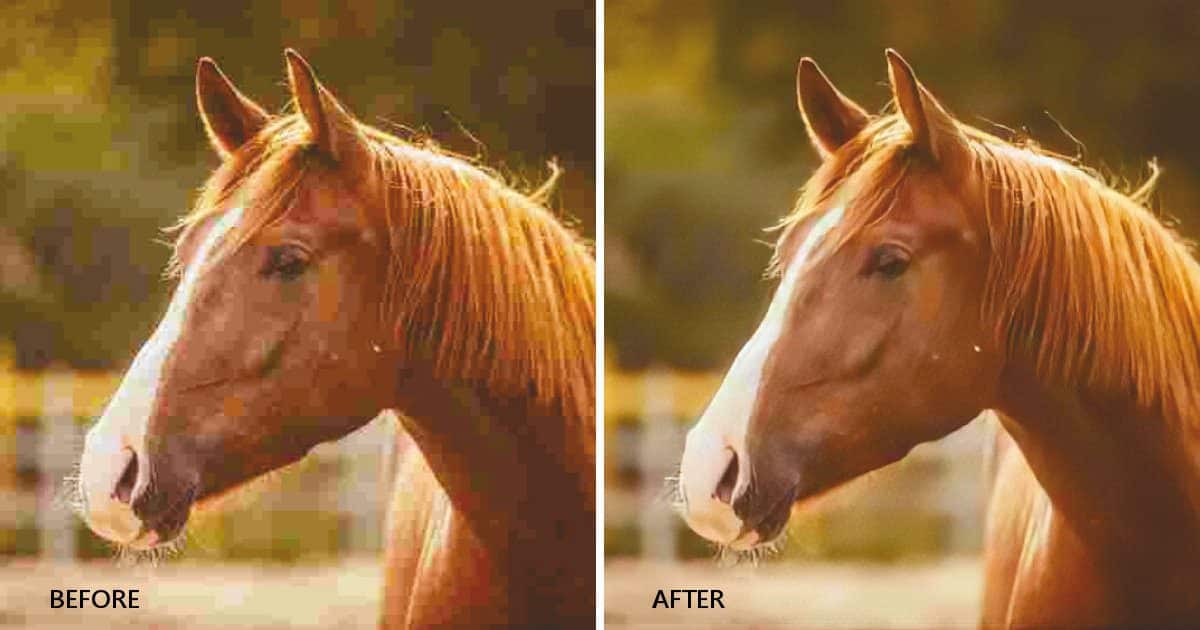 Improve the size and quality of your images - Corel Discovery Center