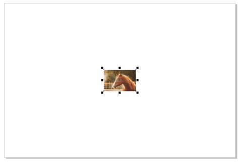 Improve the size and quality of your images - Corel Discovery Center