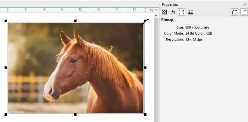 Improve the size and quality of your images - Corel Discovery Center