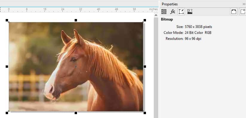Improve the size and quality of your images - Corel Discovery Center