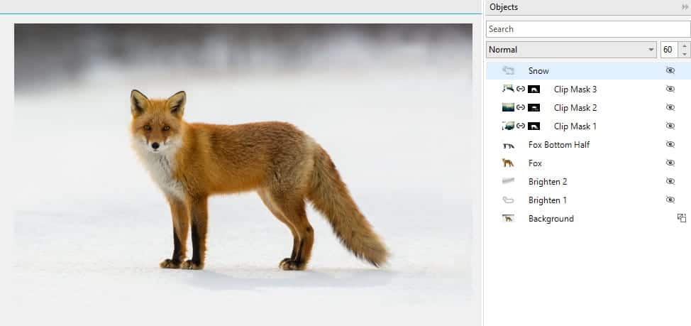 Using masks in Corel PHOTO-PAINT - Corel Discovery Center