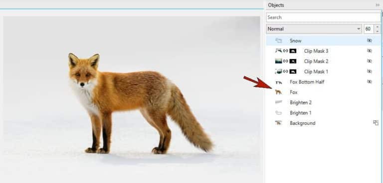 Using masks in Corel PHOTO-PAINT - Corel Discovery Center