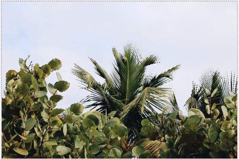 Masking - Corel Discovery Center