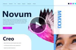 Home - Corel Discovery Center