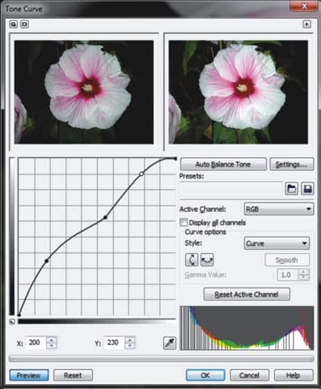 Professional photo effects - Corel Discovery Center