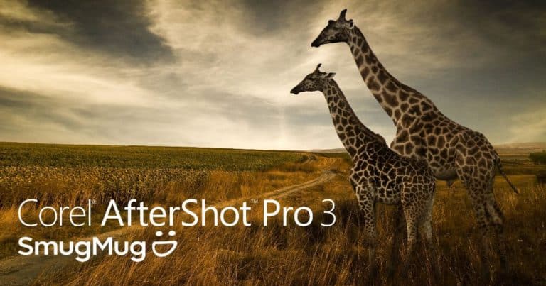 Photo Archives - Page 5 of 33 - Corel Discovery Center