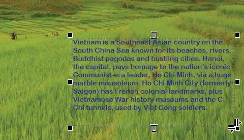 Adding and Editing Text - Corel Discovery Center