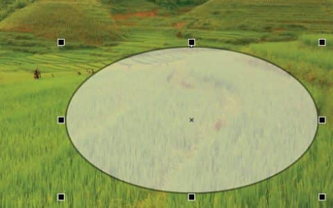 Adding and Editing Text - Corel Discovery Center