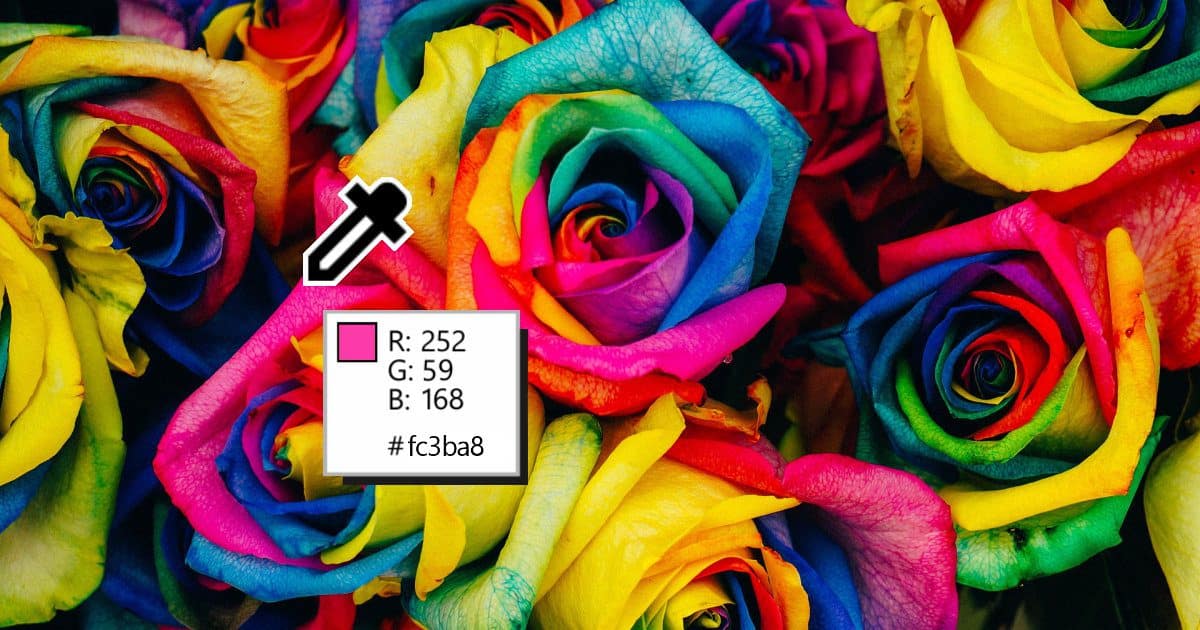 The Eyedropper Tools in CorelDRAW - Corel Discovery Center