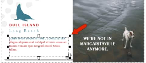 Reshaping and manipulating text with the Shape tool - Corel Discovery ...