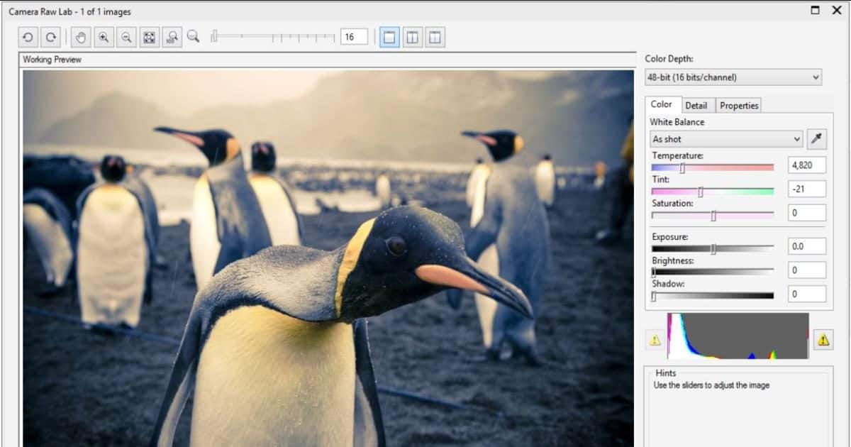 Working with RAW files and snapshots - Corel Discovery Center