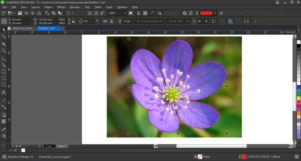 Removing backgrounds from images in CorelDRAW and PHOTO-PAINT - Corel ...