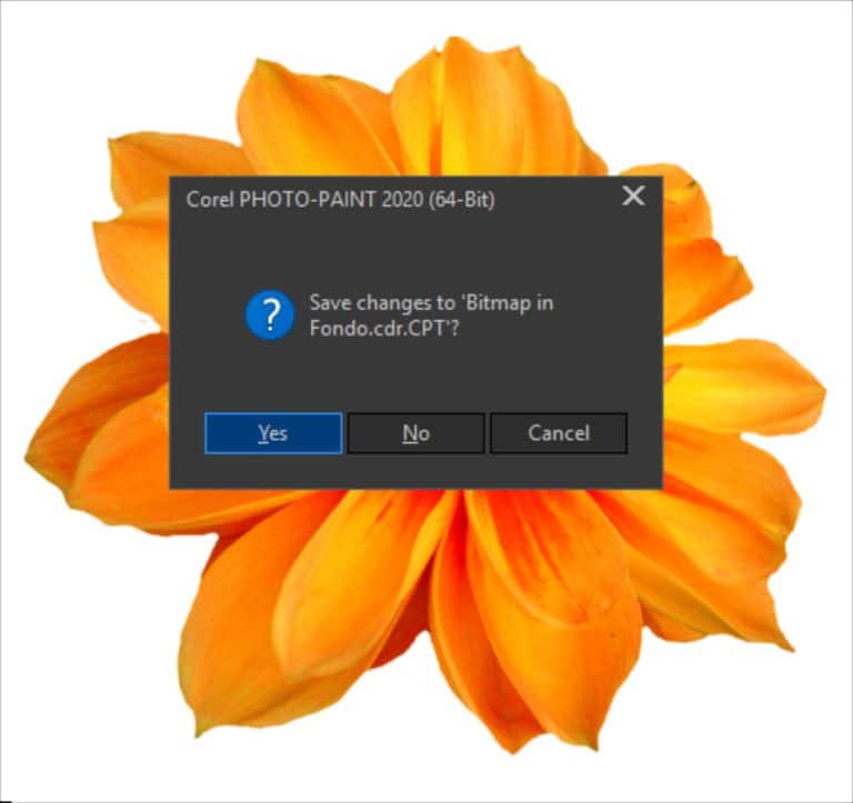 Removing backgrounds from images in CorelDRAW and PHOTO-PAINT - Corel ...