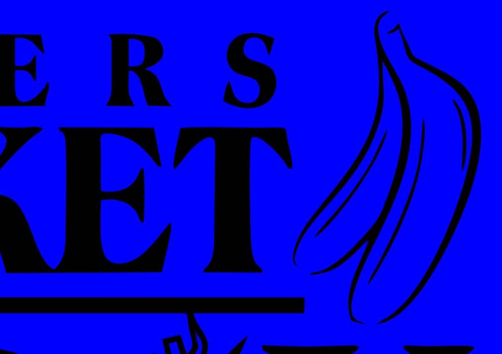 Converting Raster Images to Single-Color Vector - Corel Discovery Center