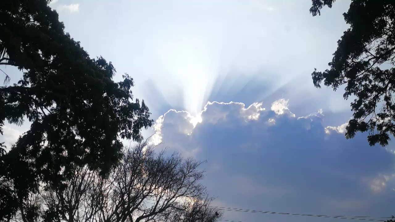 Mid Summer - Corel Discovery Center