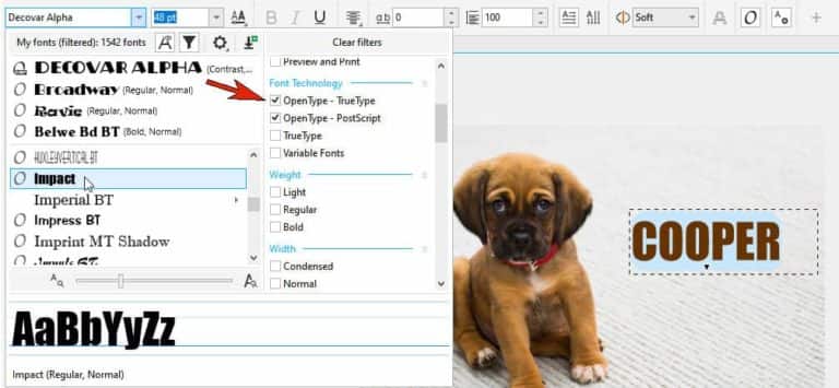 Using the Text Tool in PHOTO-PAINT - Corel Discovery Center
