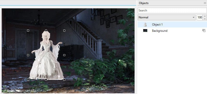 Using the Transparency Tool in PHOTO-PAINT - Corel Discovery Center
