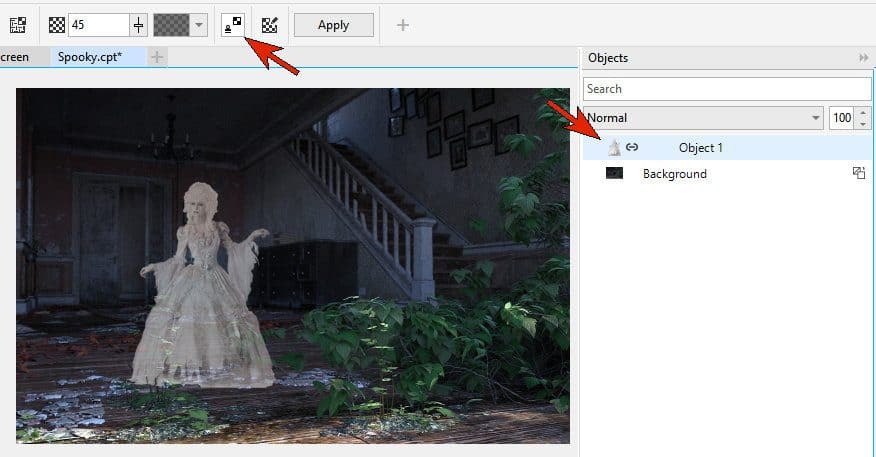 Using the Transparency Tool in PHOTO-PAINT - Corel Discovery Center