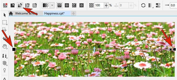 Using the Transparency Tool in PHOTO-PAINT - Corel Discovery Center