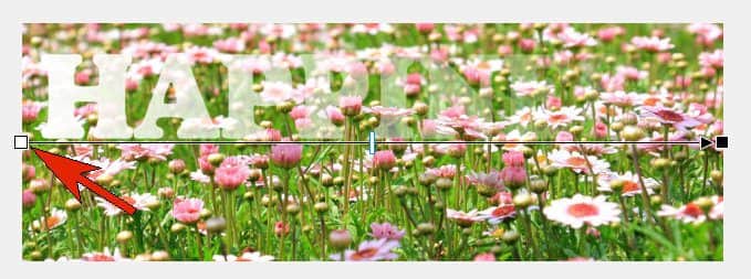 Using the Transparency Tool in PHOTO-PAINT - Corel Discovery Center