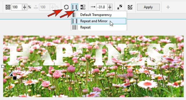 Using the Transparency Tool in PHOTO-PAINT