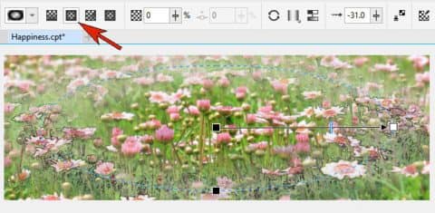 Using the Transparency Tool in PHOTO-PAINT - Corel Discovery Center