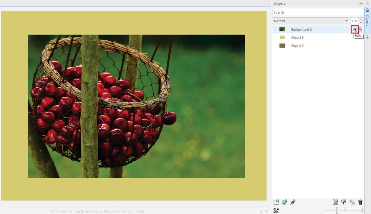 Using the Transparency Tool in PHOTO-PAINT - Corel Discovery Center