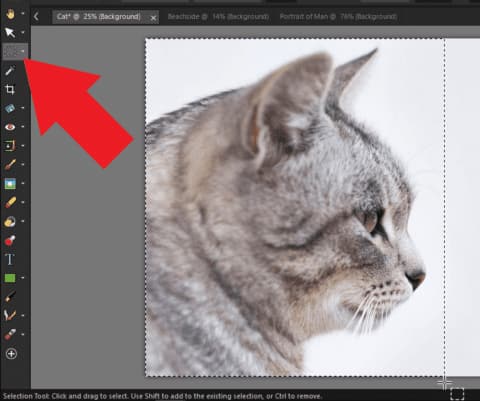 How to flip, mirror and rotate photos - Corel Discovery Center