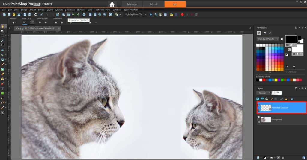 How to flip, mirror and rotate photos - Corel Discovery Center