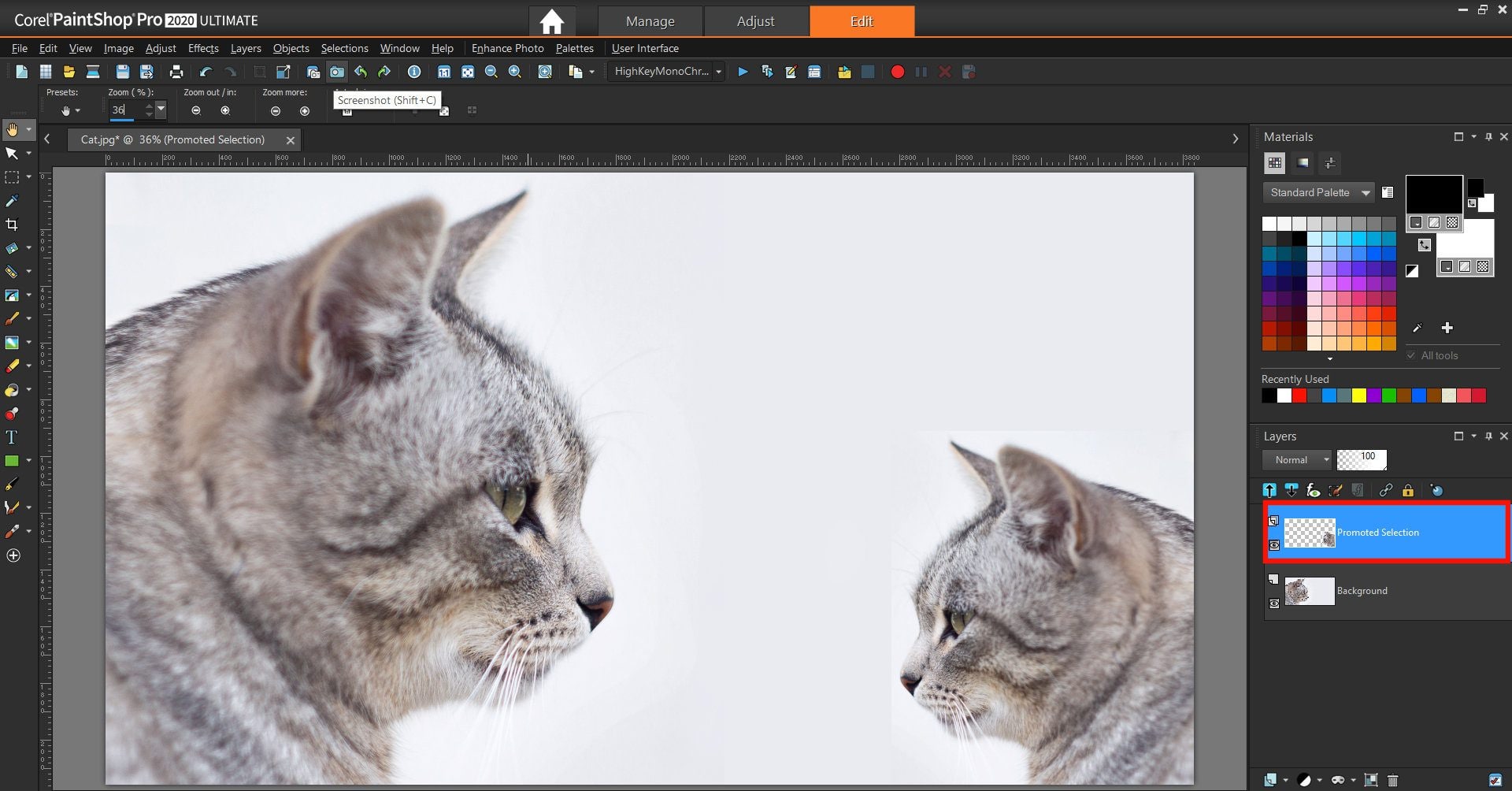 How to flip, mirror and rotate photos - Corel Discovery Center