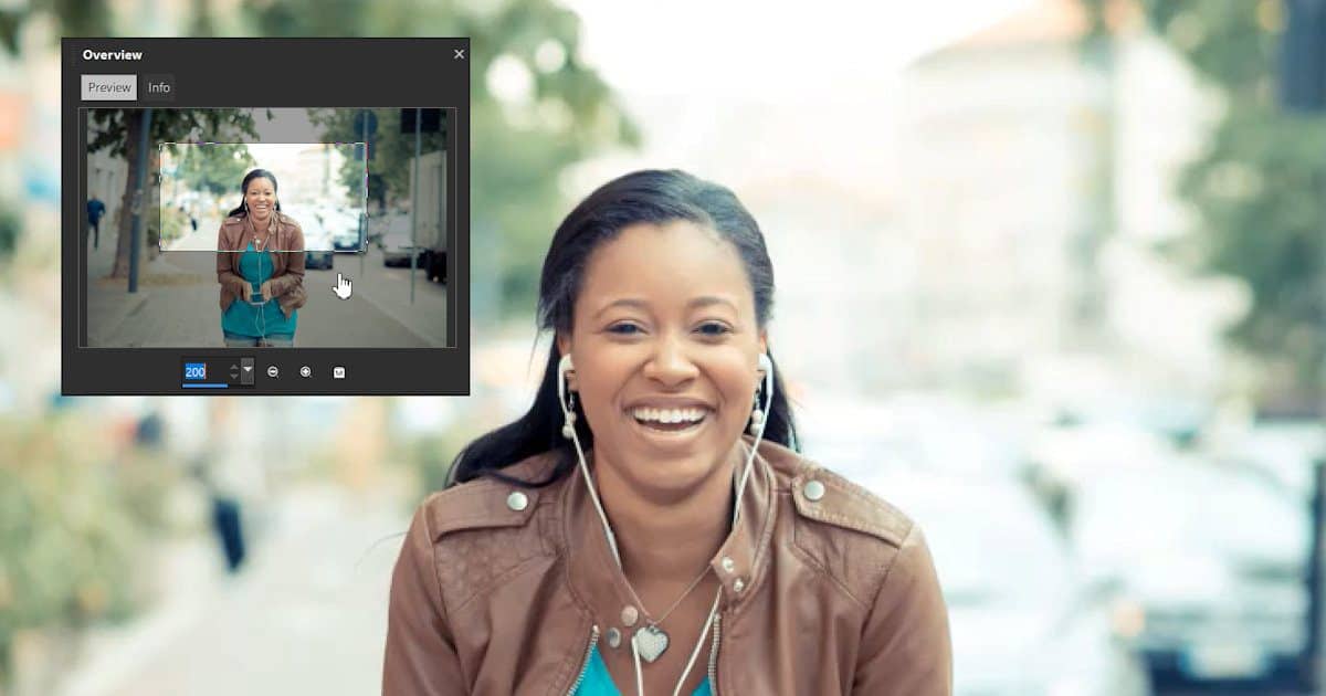 How to use the Pan tool in PaintShop Pro - Corel Discovery Center