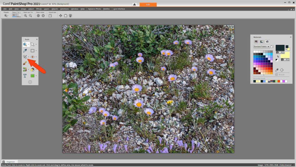 PaintShop Pro Q & A session 5 - Corel Discovery Center