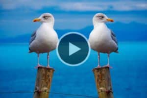 Photo Tutorials - Corel Discovery Center