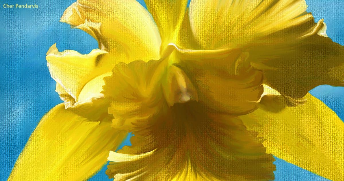 Fine-tuning with effects - Corel Discovery Center