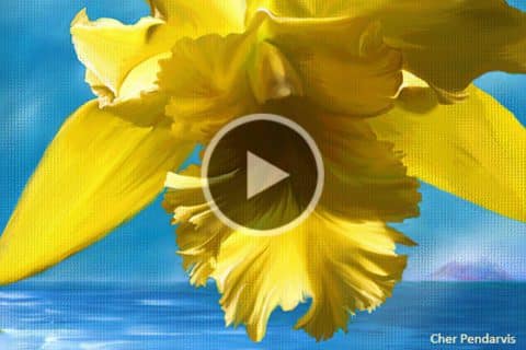 Beginner Digital Art Tutorials - Corel Discovery Center