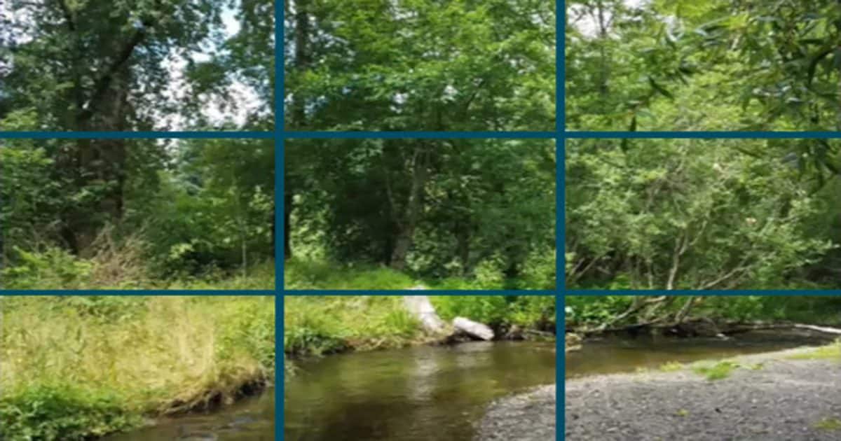 Reference Image and Canvas Setup - Corel Discovery Center