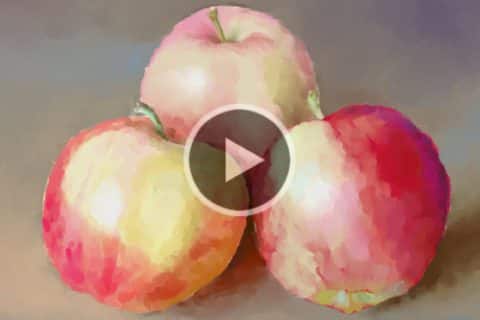 Painter Tutorials - Corel Discovery Center