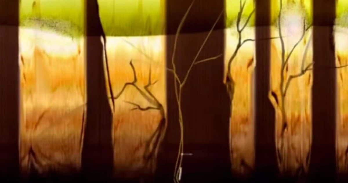 Particle Brushes with Skip Allen - Corel Discovery Center