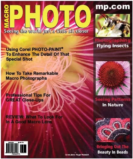 Create a Magazine Cover - Corel Discovery Center