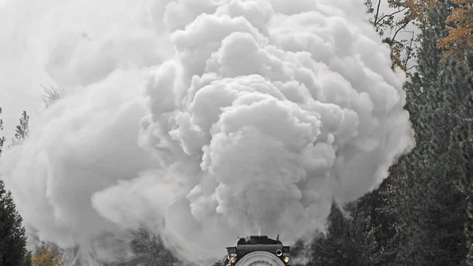 steam - Corel Discovery Center