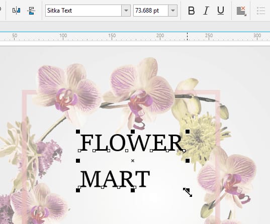 Overview of the Text tool - Corel Discovery Center