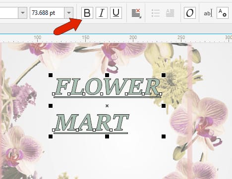 Overview of the Text tool - Corel Discovery Center