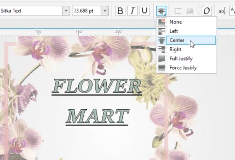 Overview of the Text tool - Corel Discovery Center