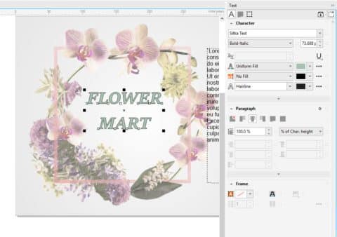 Overview of the Text tool - Corel Discovery Center