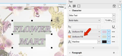 Overview of the Text tool - Corel Discovery Center