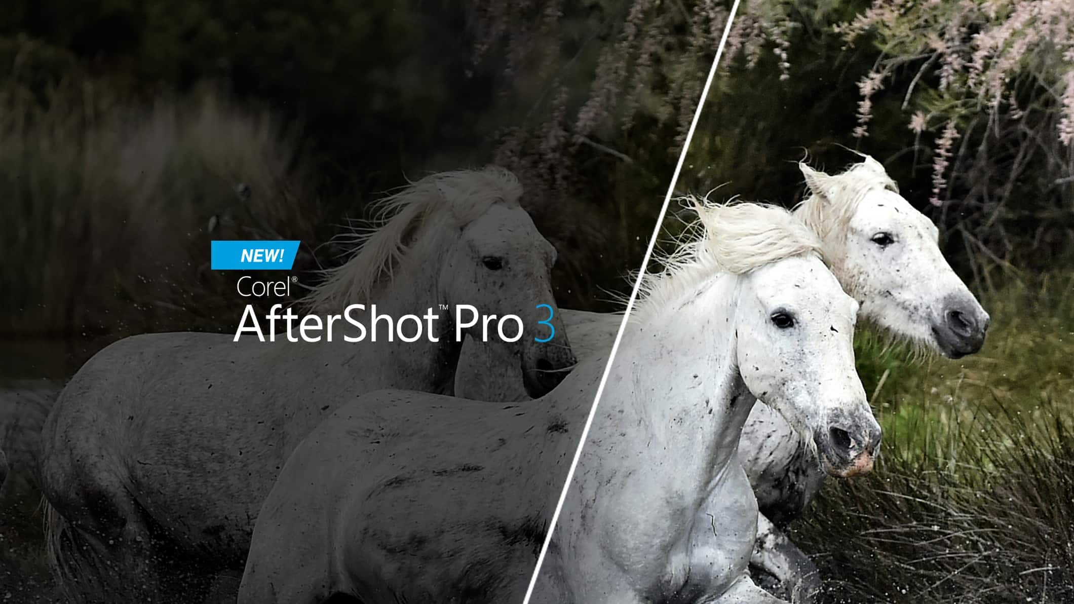 AfterShot Pro 3 Arrives: Get Better Looking Photos, Faster! - Corel ...